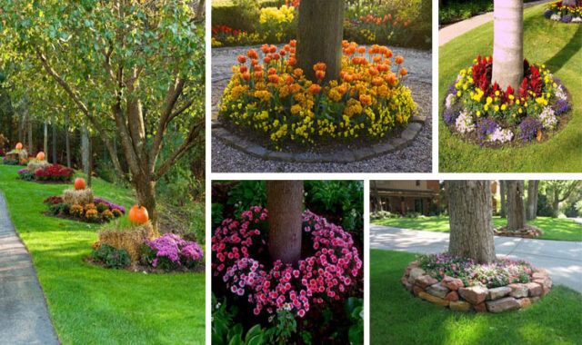 15 Amazing Ideas For Decorating The Landscape Around The Trees
