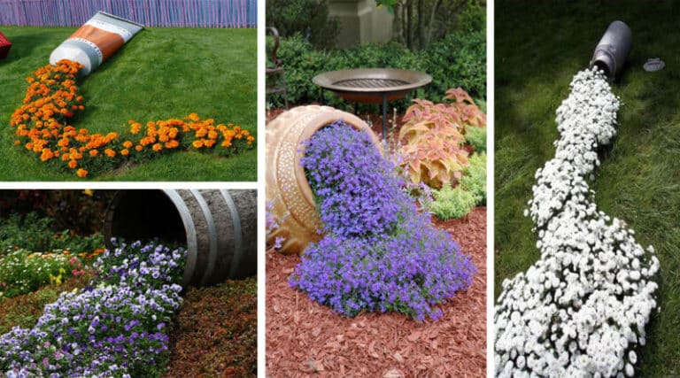 12 Stunning Spilled-Pot Garden Ideas That Look Like Flowing Rivers of ...