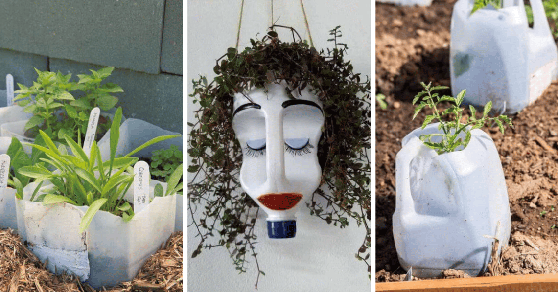 13 Creative Ways to Reuse Milk Jugs in the Garden (And Cut Down on Waste!)
