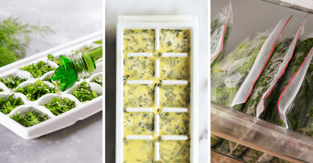 The Best 5 Methods for Freezing Fresh Herbs