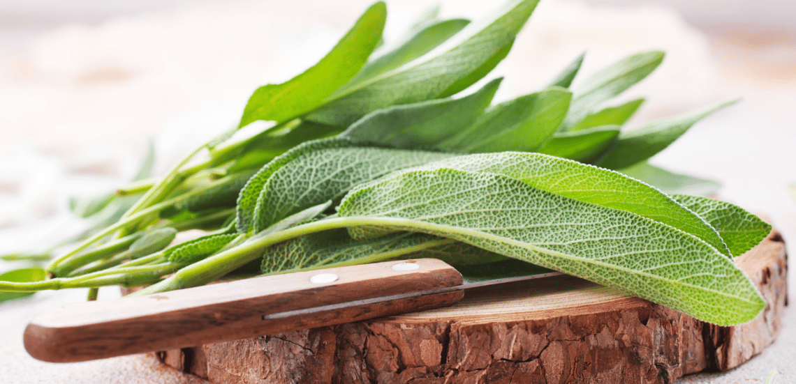 14 Wonderful Ways You Can Use Sage Leaves