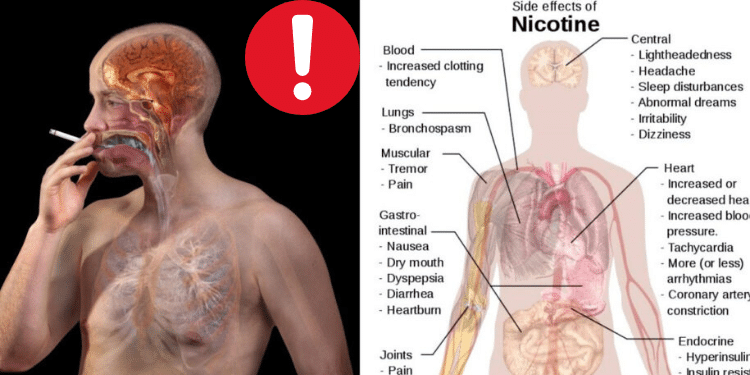 Attention Smokers: These Foods Will Flush Out Nicotine From Your Body