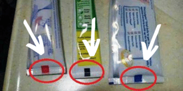 True or False? – The Hidden Secret Behind Toothpaste Bottom Color