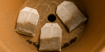 Don’t Toss That Tea Bag - Tuck It in a Pot Instead (Here’s Why)