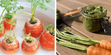Don’t Throw Away Carrot Tops! Discover Their Powerful Health Boost