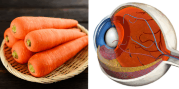 When You Eat Carrots Every Day for a Week, You’ll Notice These 9 Big ...