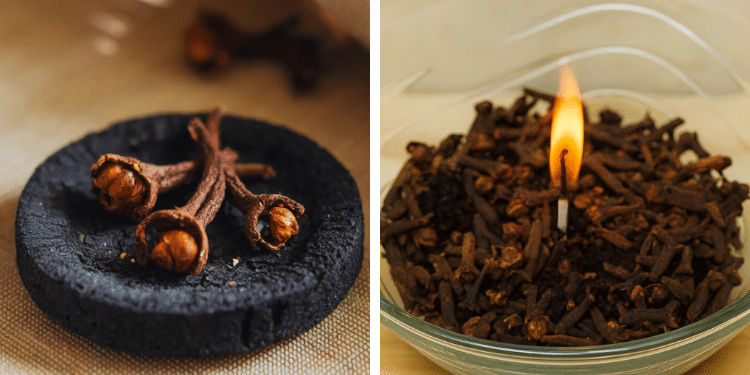 The Science of Clove Smoke: Why This Old Remedy Works Against Germs