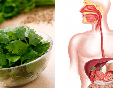 10 Secret Health Benefits of Cloves Everyone Should Know (And How to ...