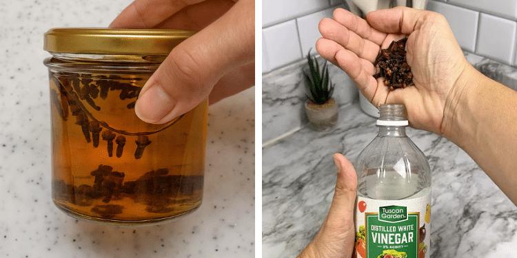 Benefits of Soaking Cloves in Vinegar for 48 Hours: The Natural ...