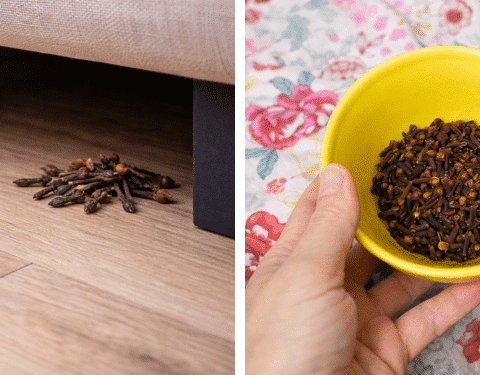 10 Secret Health Benefits of Cloves Everyone Should Know (And How to ...