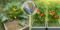 9 Plants That Benefit From Grass Clipping Mulch (Use It the Right Way)