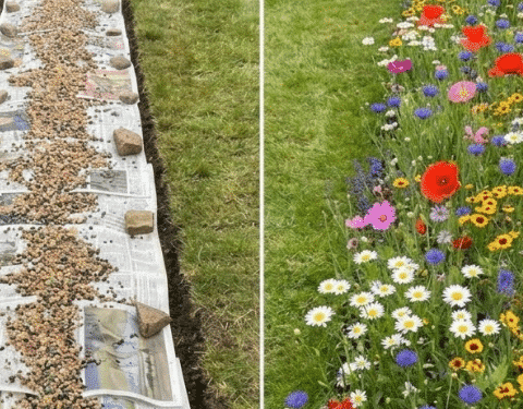 Scatter Matchsticks in the Soil – 5 Reasons Gardeners Swear by This Old ...