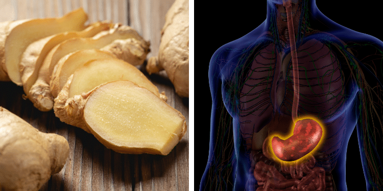 What Happens When You Eat Ginger Every Day? 10 Science-Backed Benefits