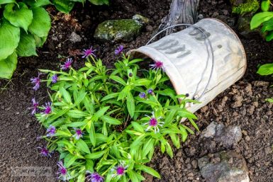 15 Wonderful DIY Spilling Flower Pot Will Spill Joy Into Your Garden