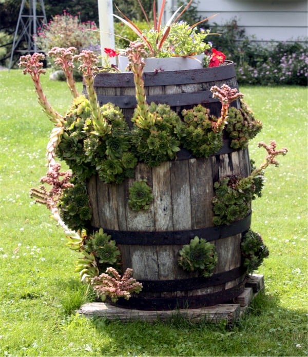 15 Interesting Garden Planters to Inspire You