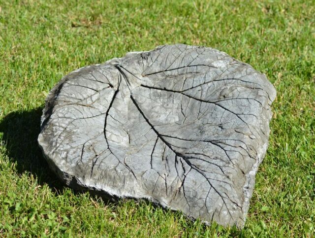 Lay a Large Leaf on Cement and Create a Stunning Addition to Your Yard