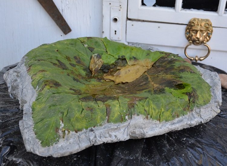 Lay a Large Leaf on Cement and Create a Stunning Addition to Your Yard