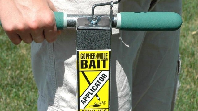 7 Effective Ways To Getting Rid Of Moles In The Yard