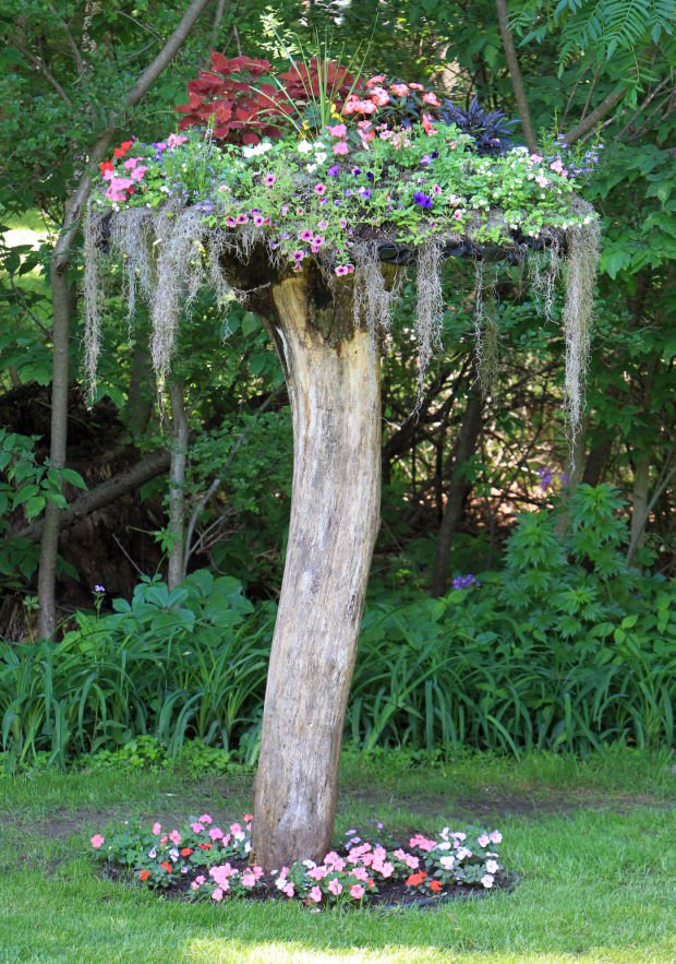 Decorate Your Garden With Tree Stumps In An Amazing Way