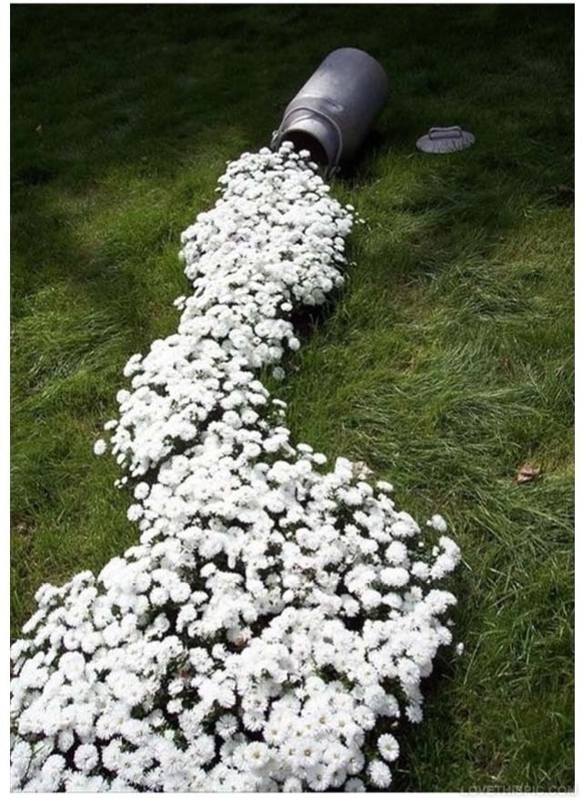 10 Planters That Will Spill Fragrant Flowers Into Your Garden