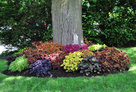 18 Genius Flower Beds Around Trees You Need To See