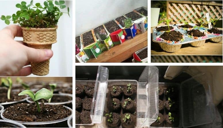 20 Upcycled Seed Starter Pots You Can Easily Make At Home