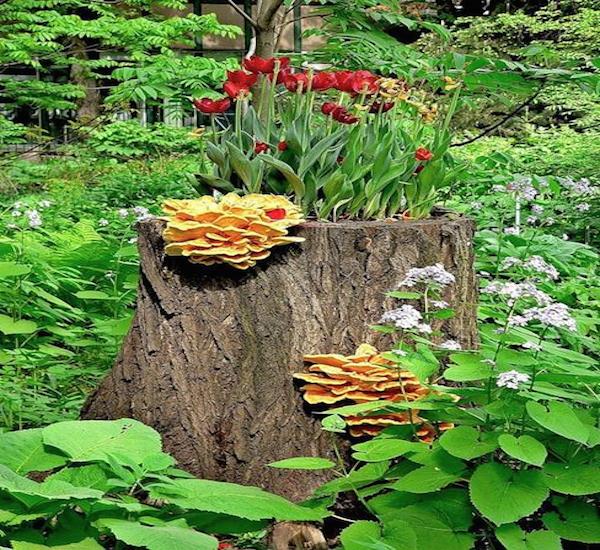 15 Amazing Tree Stump to Planter Conversions