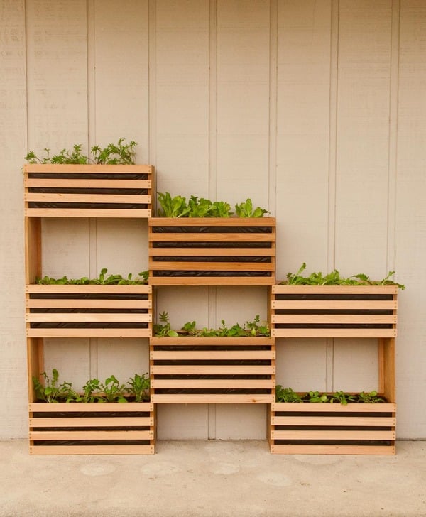 How To Grow Awesome Vegetables In Raised Garden Beds