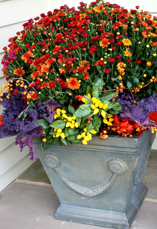 18 Beautiful Fall Container Backyard Ideas