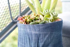 18 Creative DIY Jeans Uses In The Garden