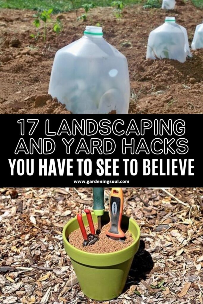 17 Landscaping And Yard Hacks You Have To See To Believe
