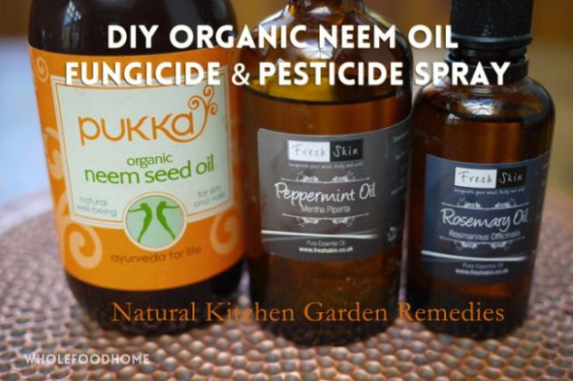 25 Best Ways To Use Neem Oil For Pest Control