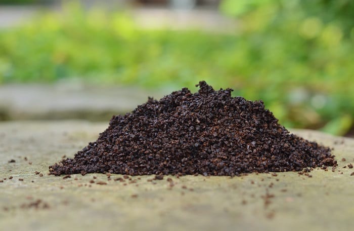 7 Natural Ways to Enrich Your Garden Soil for Healthier Plants