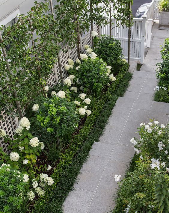 Create Your Dreamy Garden With These Hydrangea Landscape Ideas