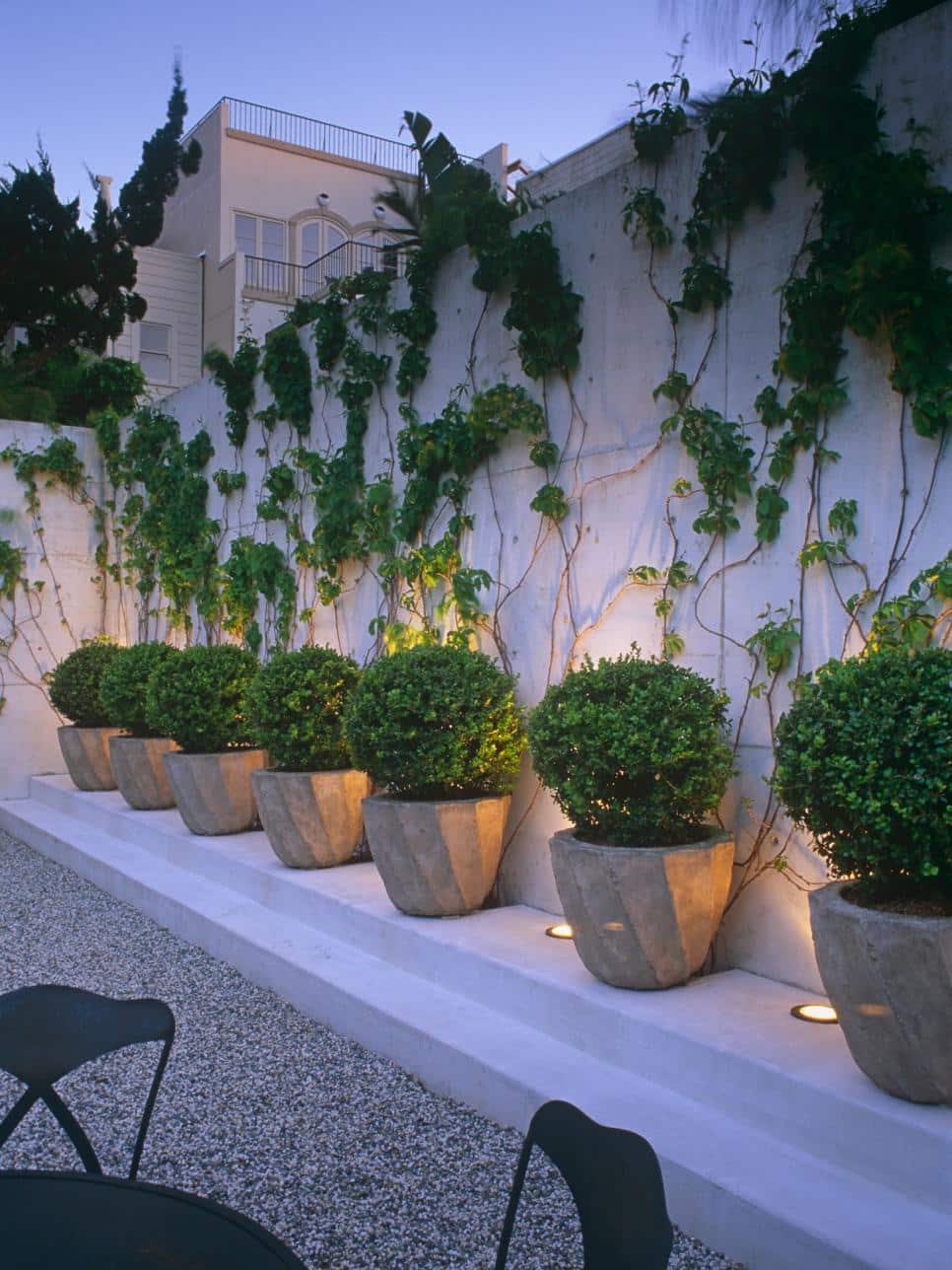 Help and Advice on Growing Flowering Climbers in Your Garden