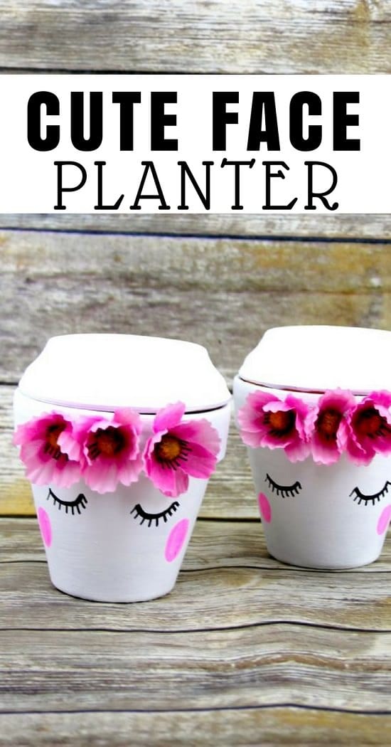 13 Super Cute DIY Face Planters You Can Make In Minutes