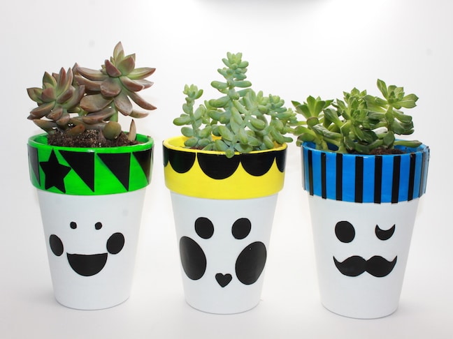 11 Super Cute DIY Face Planters You Can Make In Minutes