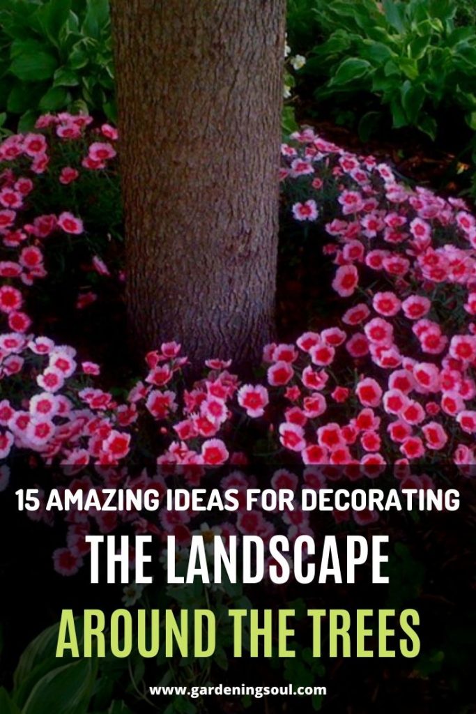 15 Amazing Ideas For Decorating The Landscape Around The Trees