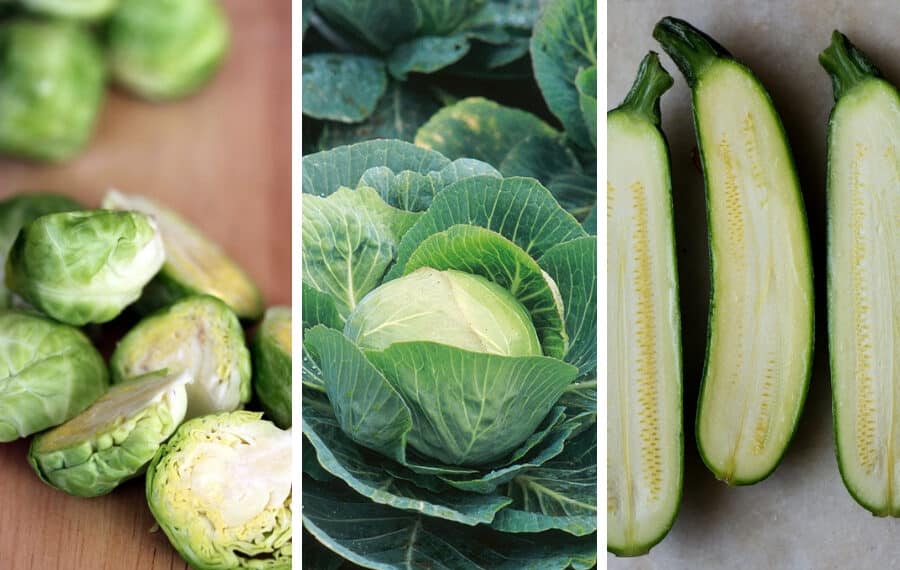 14 Foods With Almost No Calories and a Lot of Nutrients