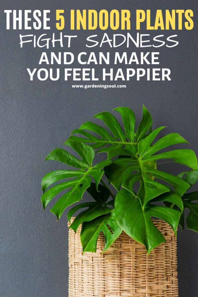 These 5 Indoor Plants Fight Sadness and Can Make You Feel Happier