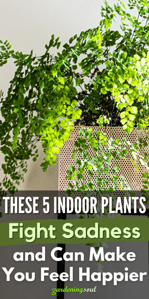These 5 Indoor Plants Fight Sadness and Can Make You Feel Happier