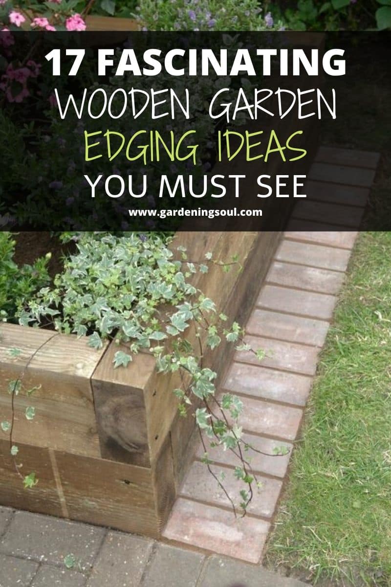 17 Fascinating Wooden Garden Edging Ideas You Must See