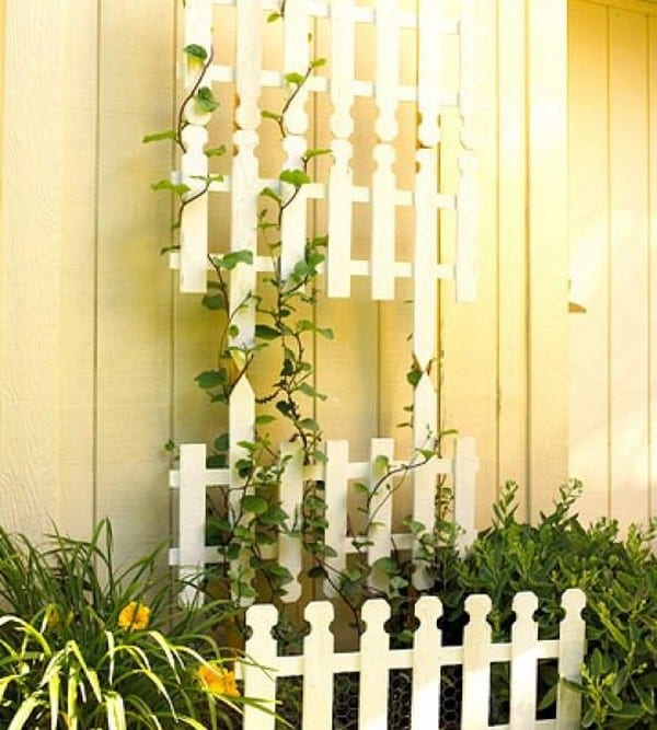 25 Eye-Catching DIY Trellis Ideas For Your Garden