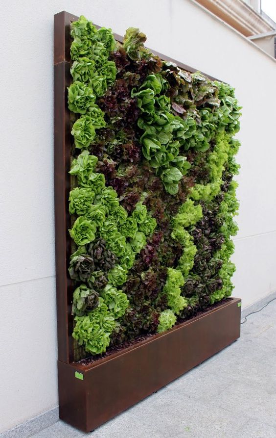 17 Creative and Amazing DIY Vertical Garden That Will Amaze You