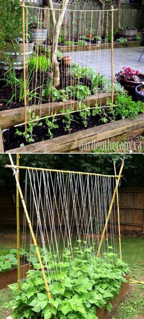 19 Successful Ways to Building DIY Trellis for Veggies and Fruits
