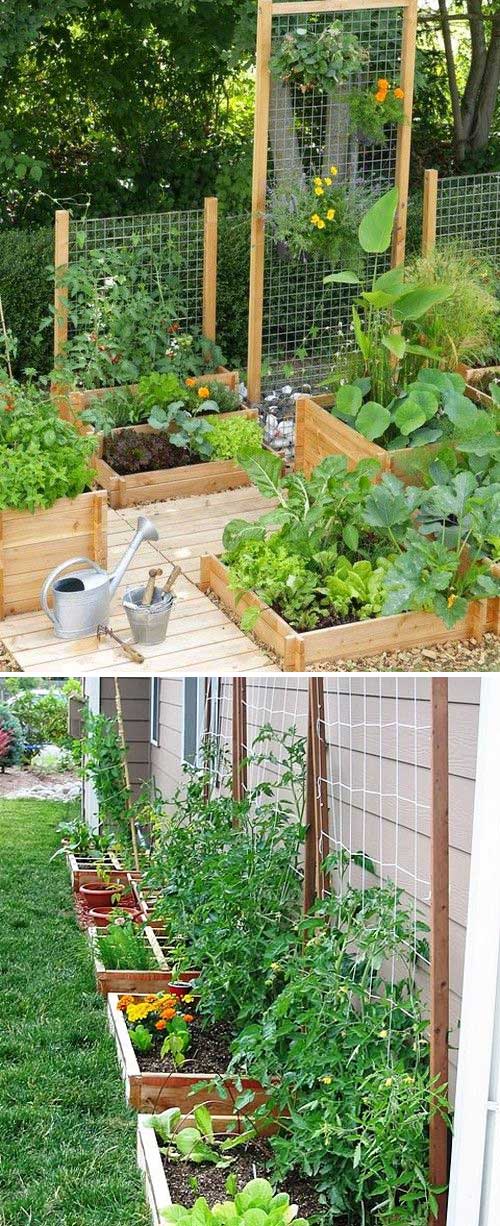 19 Successful Ways to Building DIY Trellis for Veggies and Fruits