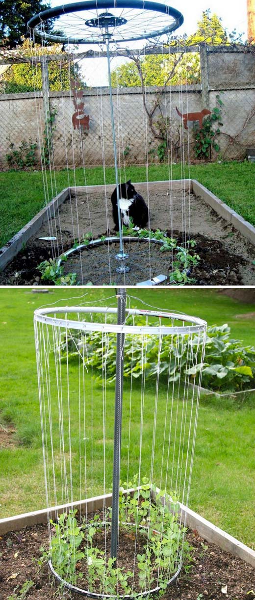 19 Successful Ways to Building DIY Trellis for Veggies and Fruits