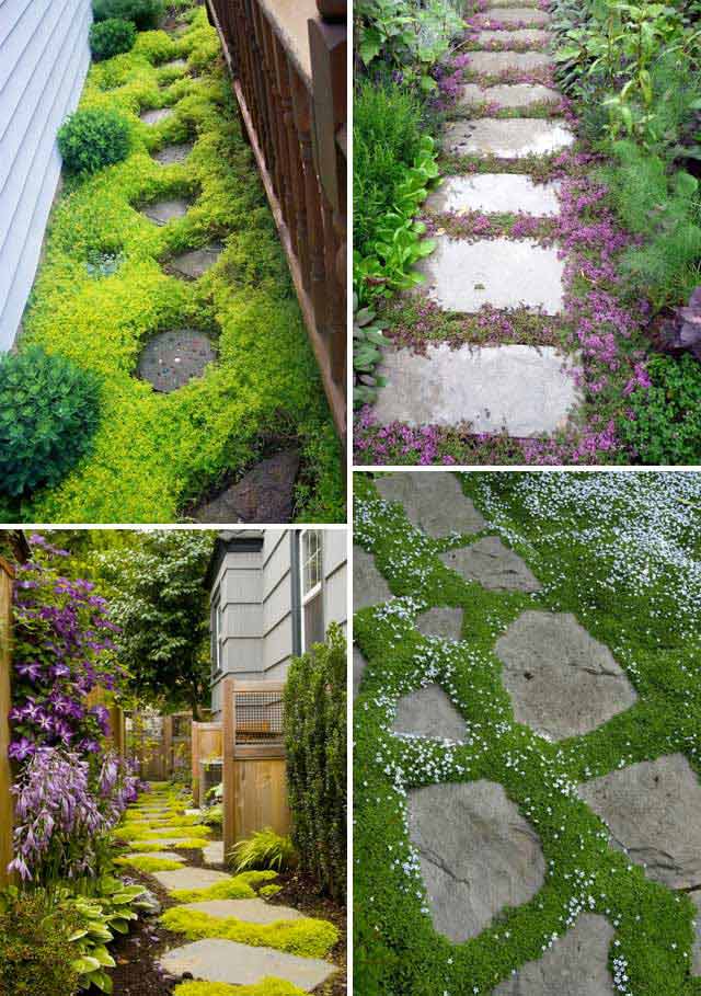 Transform Your Yard: Step-by-Step Guide to a Stepping Stone and Path Combo