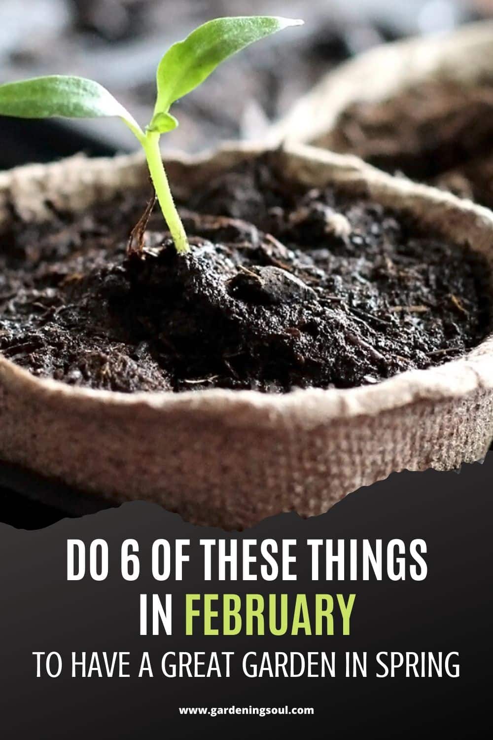Do 6 of These Things in February To Have a Great Garden in Spring