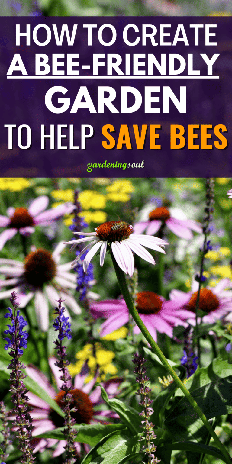 How to Create a Bee-Friendly Garden to Help Save Bees